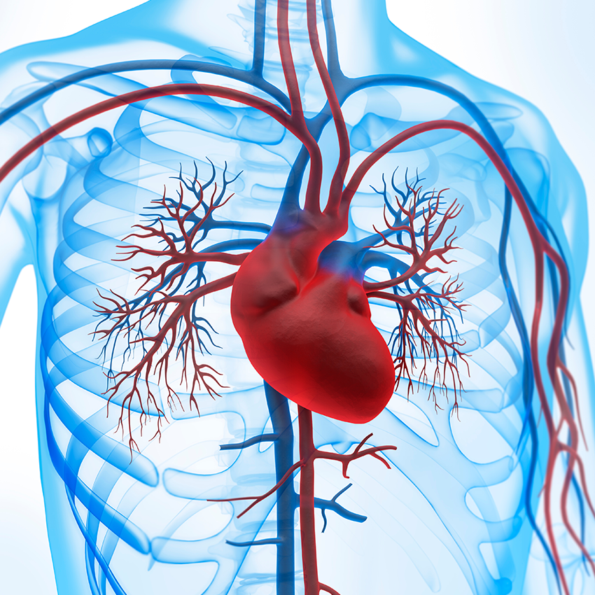 Šta je kardiologija?